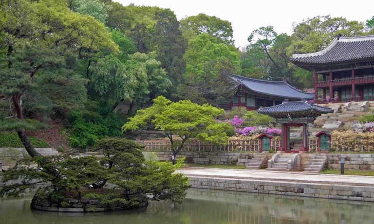 2011 Travel Diary day 2: the Changdeokgung and Biwon | London Korean Links