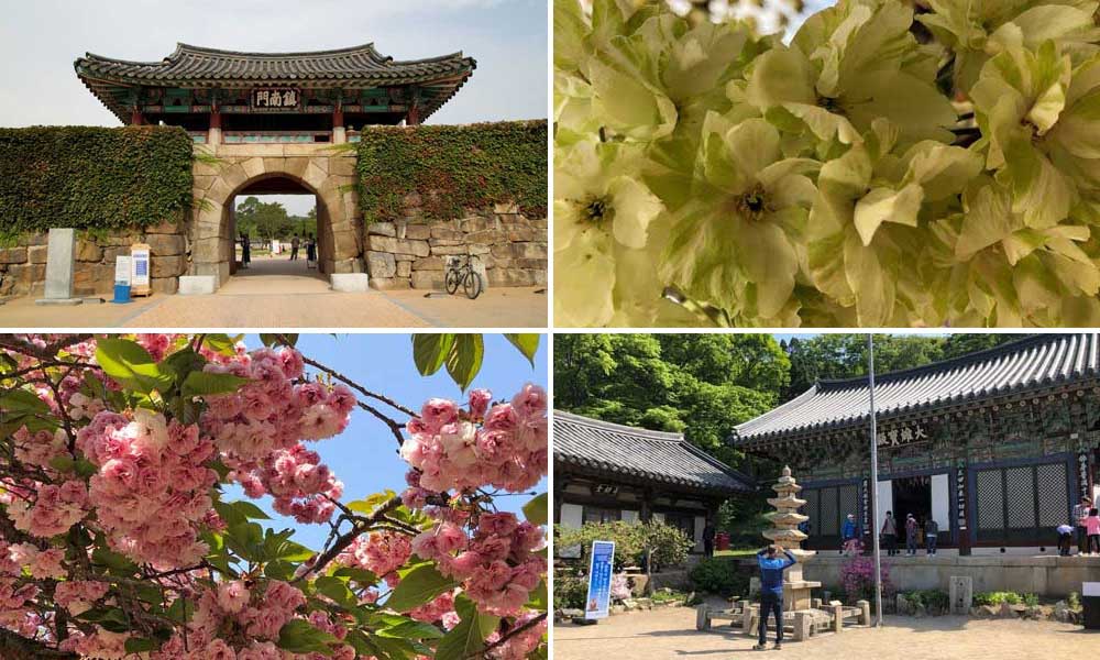 2019 Travel Diary #4: Seosan – Haemi Eupseong and Gaesimsa | London ...