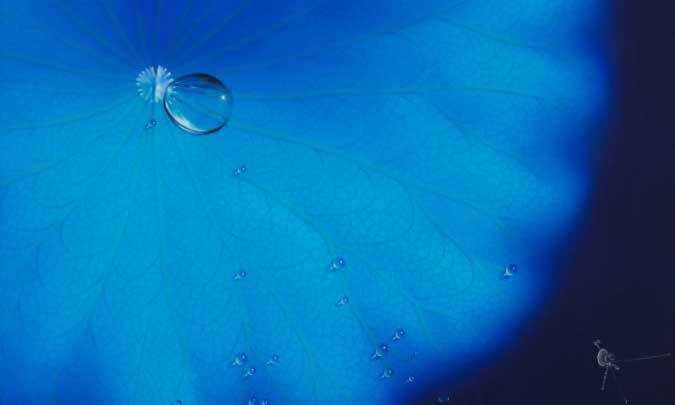 Sang Woon Nam: Blue, at Aleph Contemporary | London Korean Links